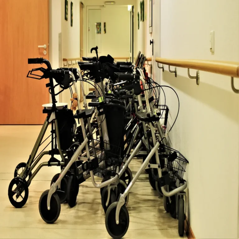 Walking & Mobility Assistance – Genix MSS: Your Partner in Healthcare ...